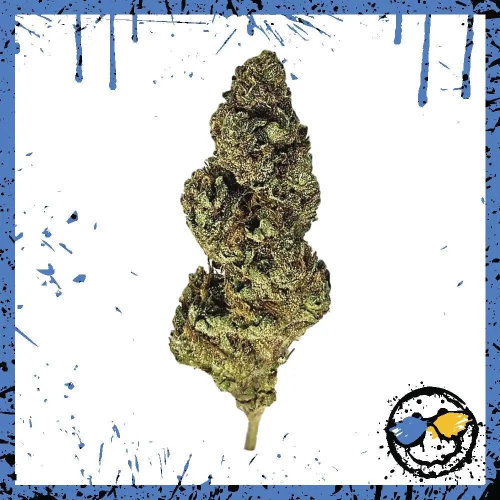 AAA Greenhouse Bud - Strawberry Diesel